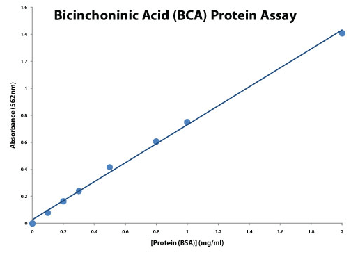 Bicinchoninic Acid (BCA) Protein Assay｜タカラバイオ株式会社